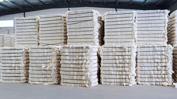 Comprehensive Guide to Cotton Ginning Machines - FYI Tester