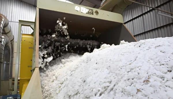 Comprehensive Guide to Cotton Ginning Machines - FYI Tester
